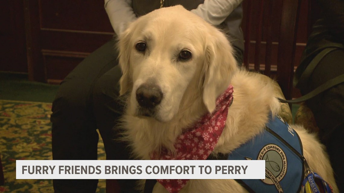 Bringing comfort to tragedy: Dogs helping those in Perry, Iowa | wqad.com