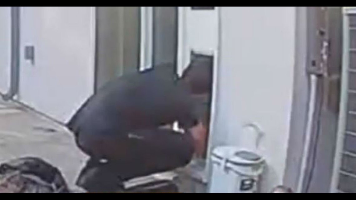 Video shows man crawling through doggy door during break-in | wqad.com