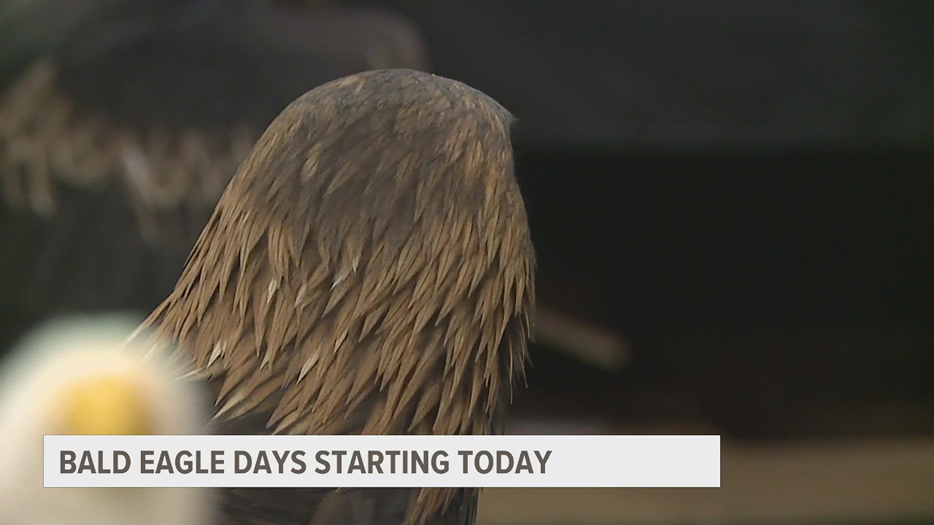 3 Things to Know | Quad Cities morning headlines for Jan. 5, 2024 | wqad.com