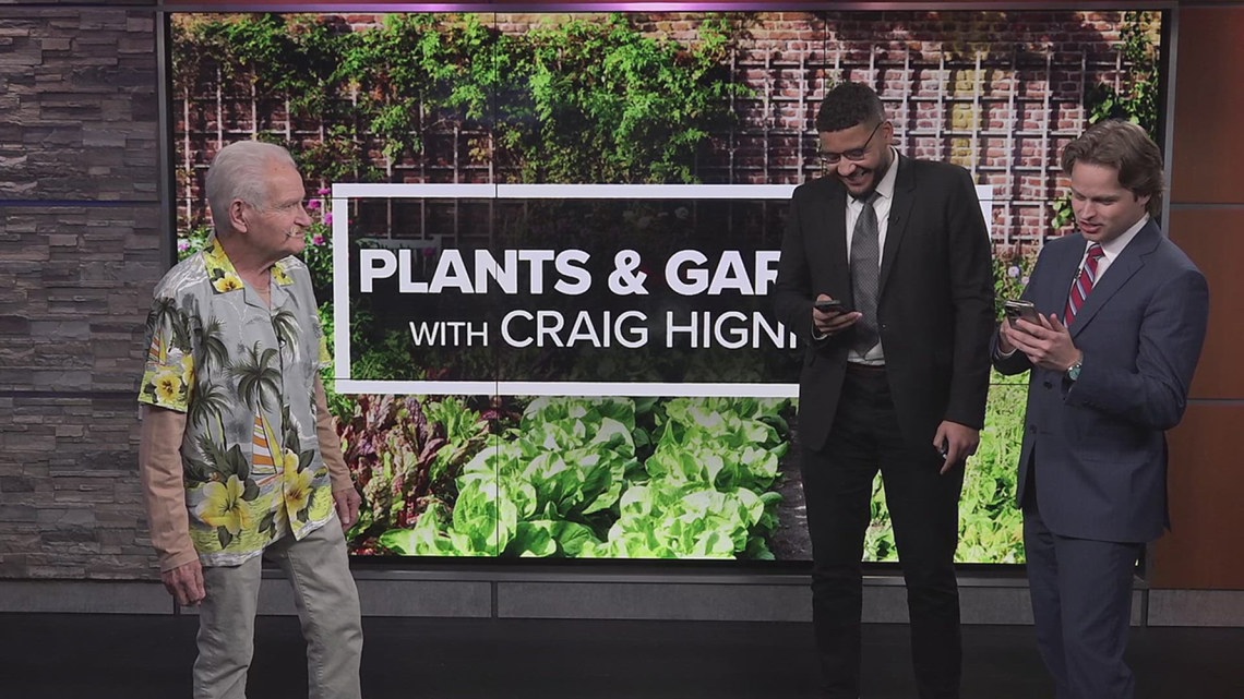 Caring for succulents | Plants and Gardens with Craig Hignight | wqad.com