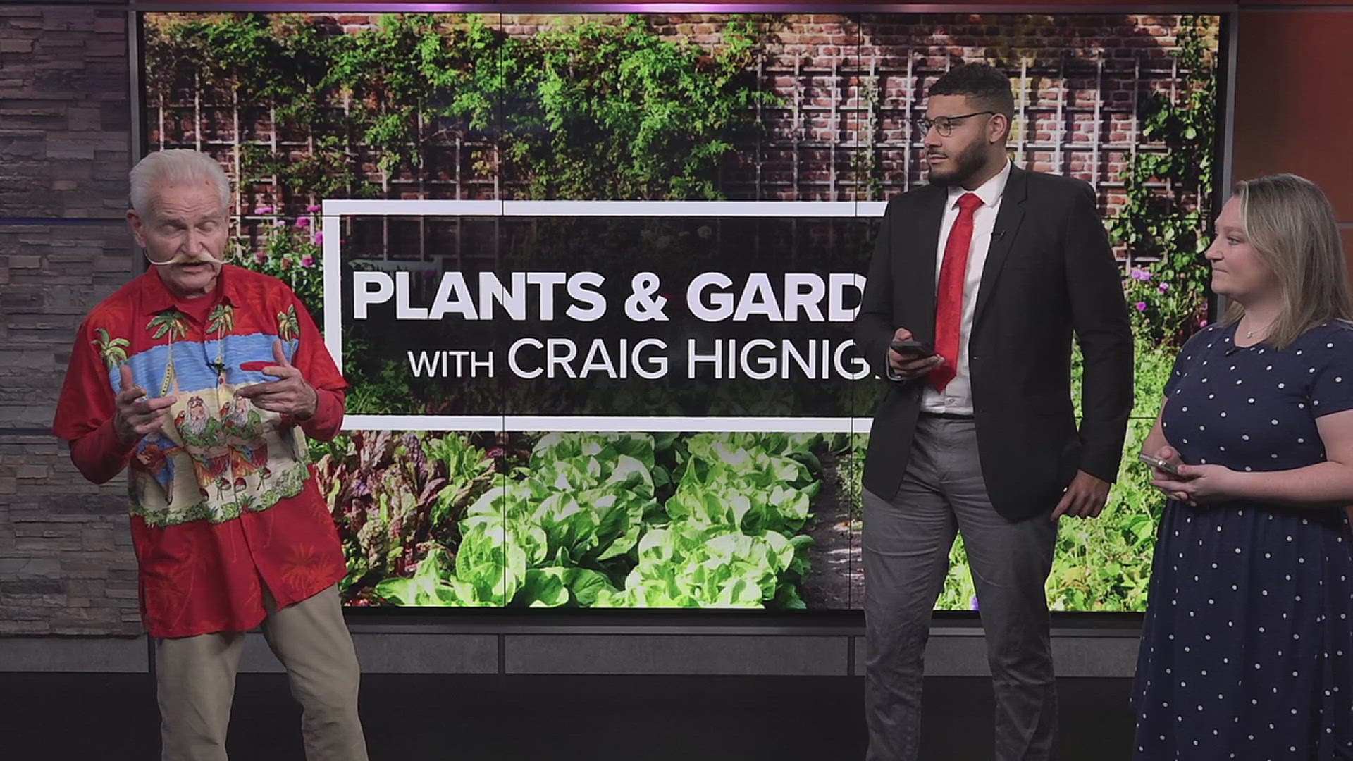 How to rid bugs from house plants | wqad.com