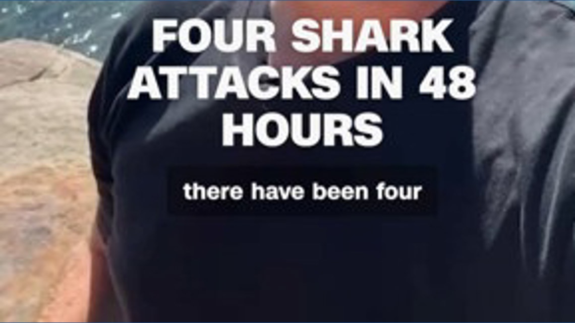 4 shark attacks occurred in 48 hours | wqad.com