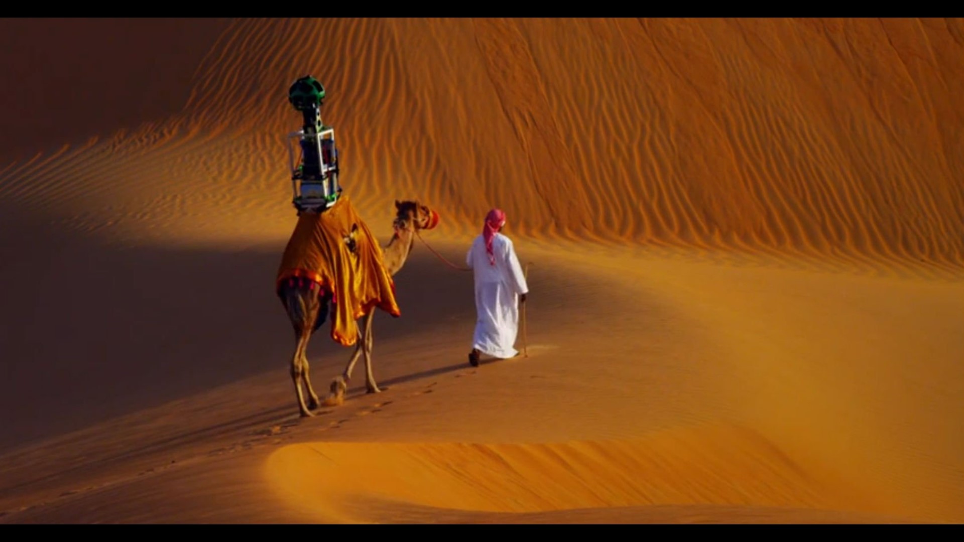 Google hires camel for desert Street View | wqad.com