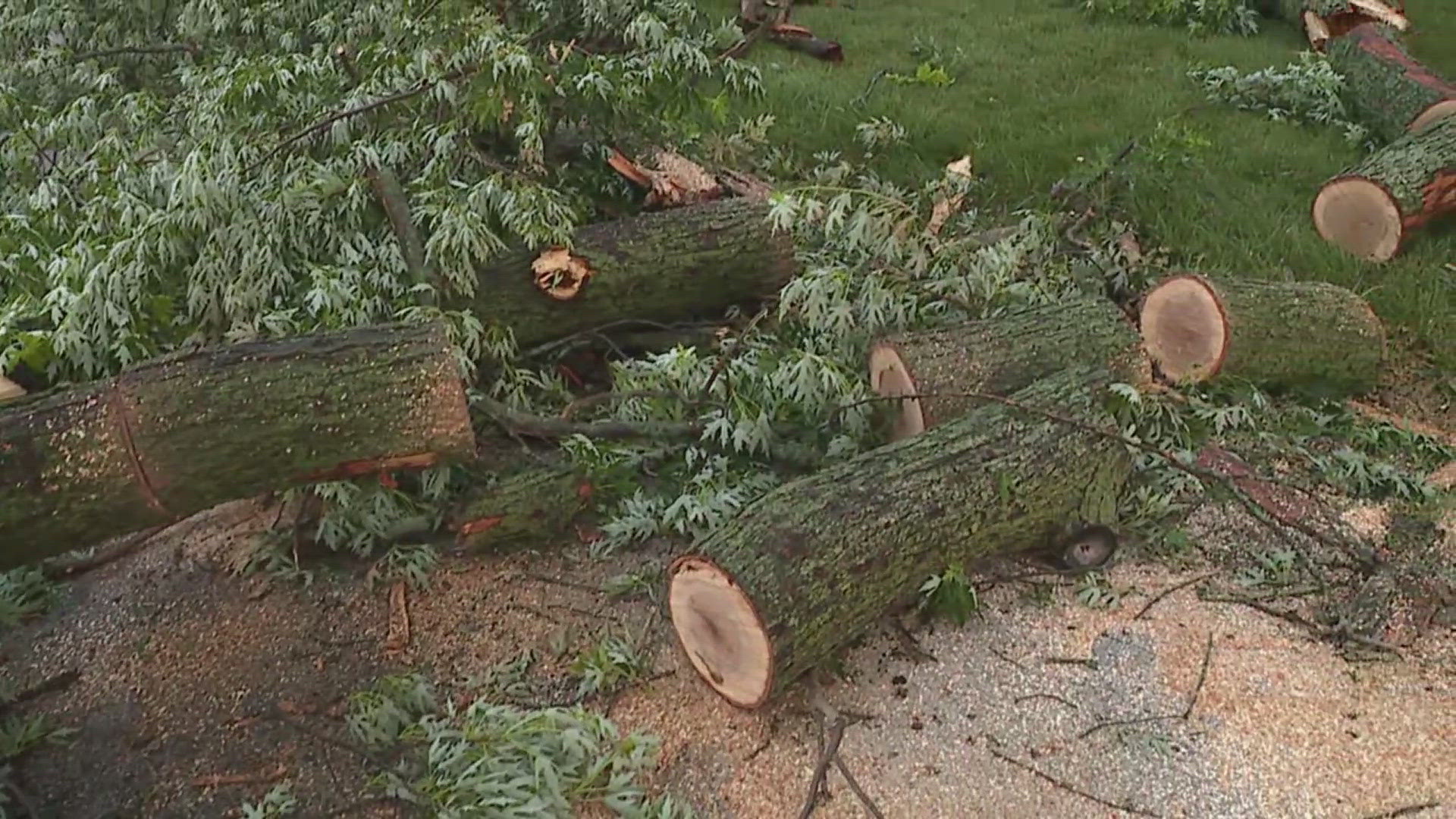 Thousands of people in the Quad Cities without power as severe weather ...
