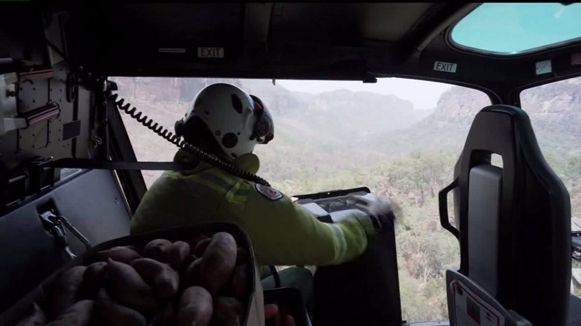 Australia dropping thousands of veggies from helicopters for hungry ...