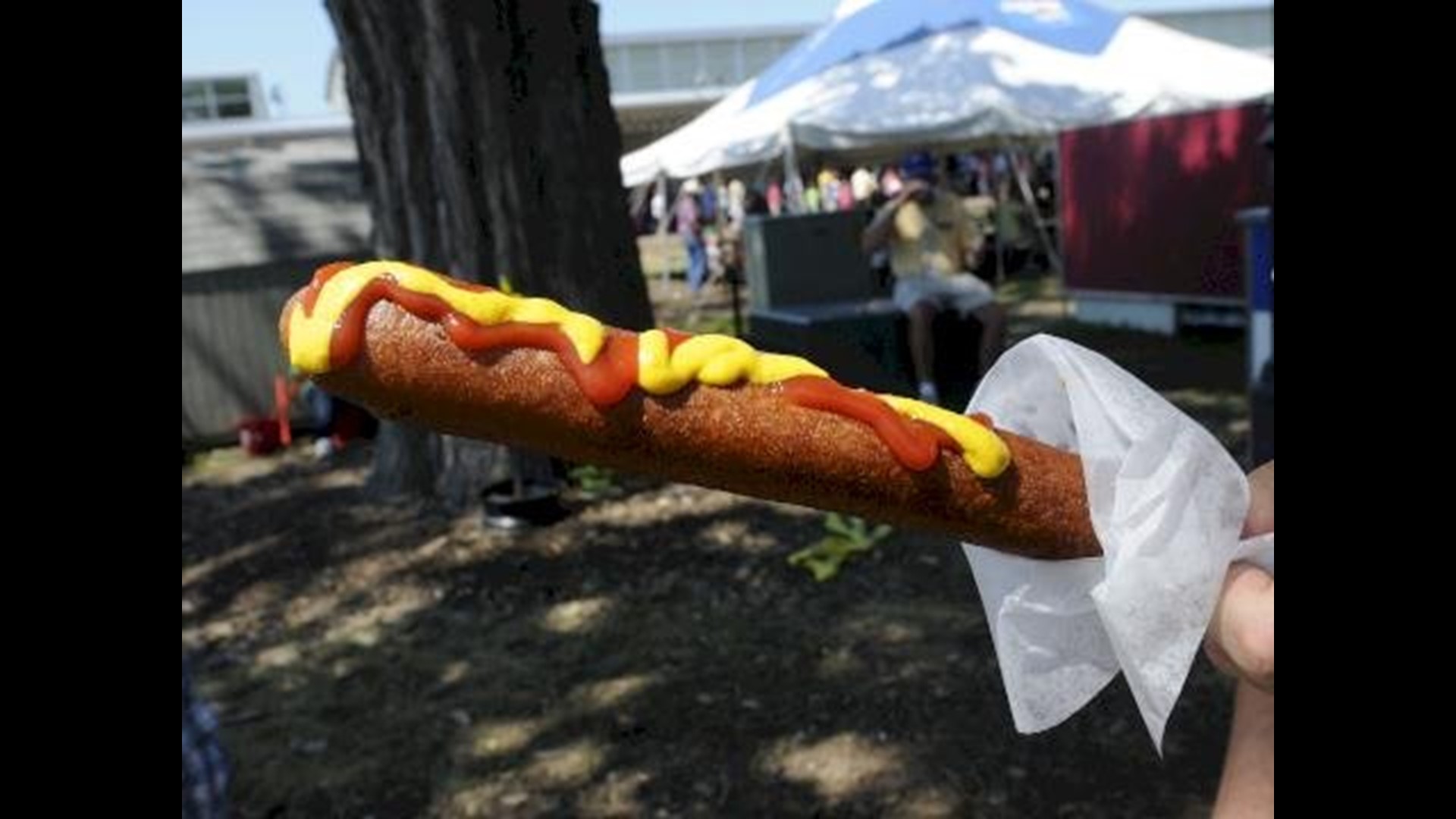 Iowa State Fair begins Thursday | wqad.com