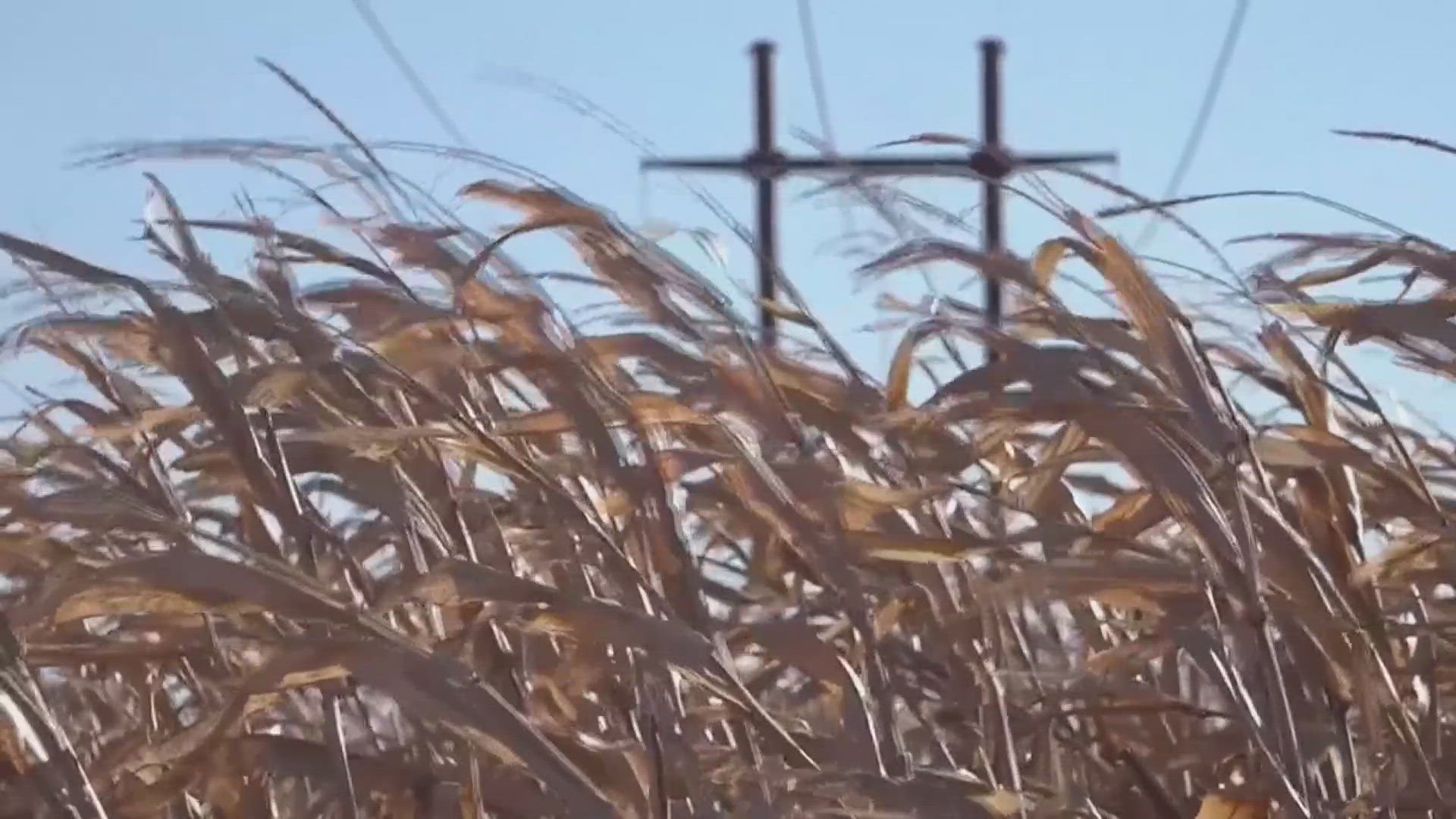 Scott County board shoots down new power plant ordinance | wqad.com