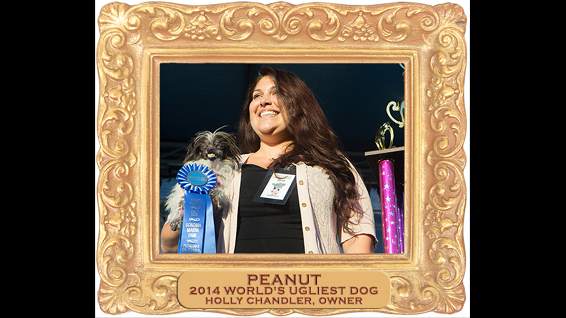 2014 World’s Ugliest Dog a ‘poster child’ showing outcome of animal ...