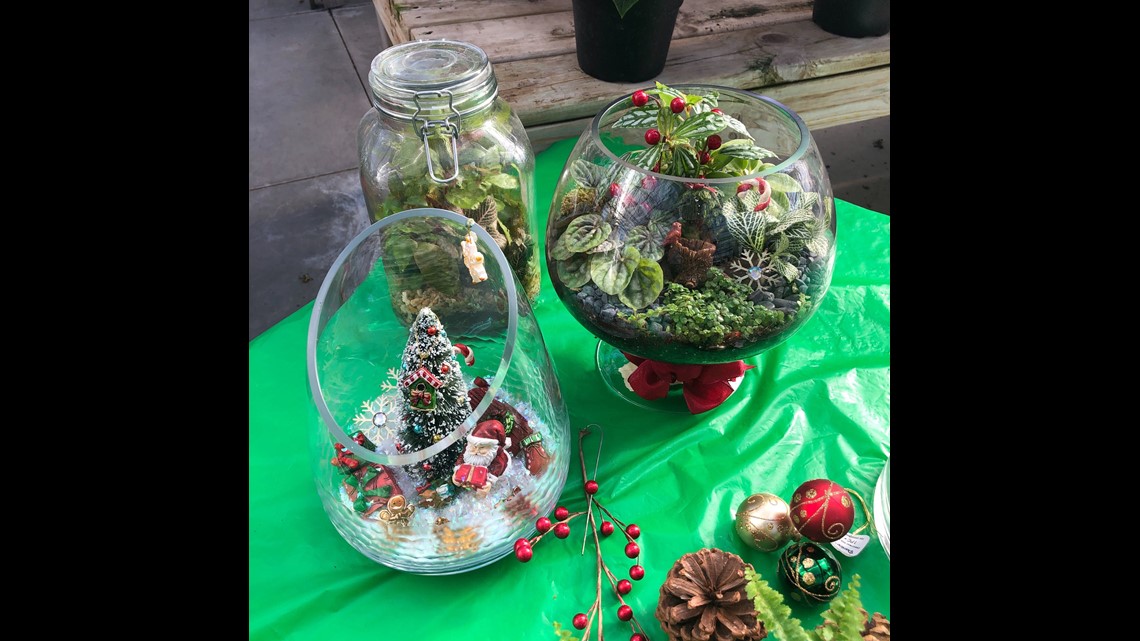 NAILED IT OR FAILED IT: Wallace’s Show Us How to Make a Terrarium as a ...