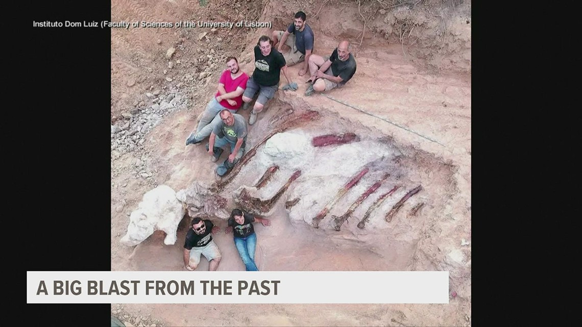TRENDING | Scientists uncover one of the largest skeletons in Europe ...