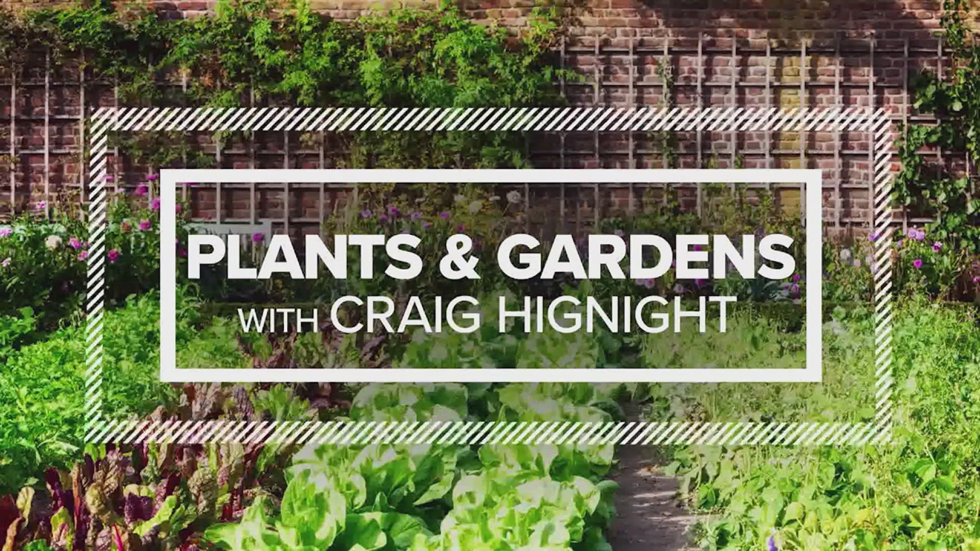 Plants and Gardens with Craig Hignight: Jan. 14, 2026 | wqad.com