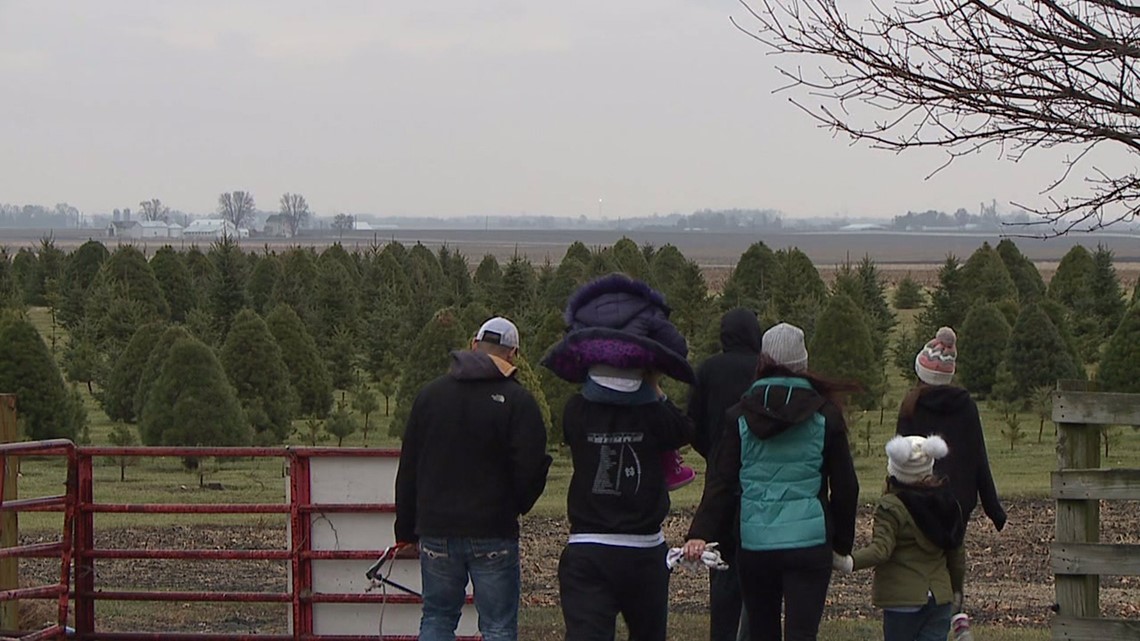 Local tree farms open to unseasonably warm temperatures this holiday ...