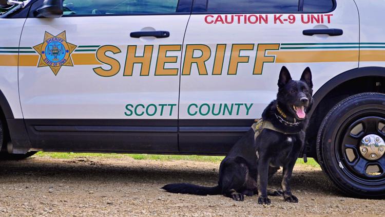 All about Scott County Sheriff's Office K9 Deputies | wqad.com