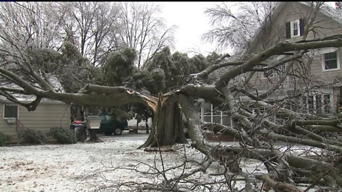 Ice storm causes tree in Cambridge to split in three, damaging house ...