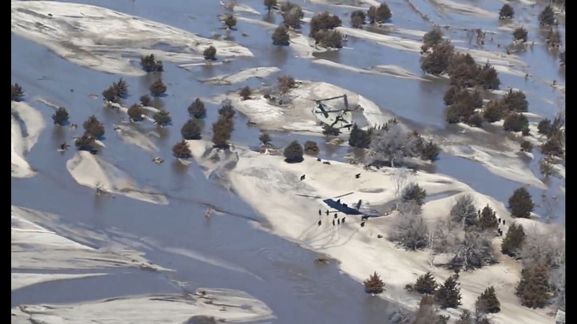 Military dropping hay from helicopters for cows stranded by floodwater ...