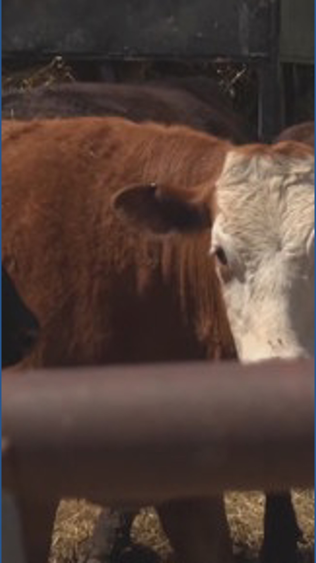 Family farm owner to donate his land to help beginning farmers | wqad.com
