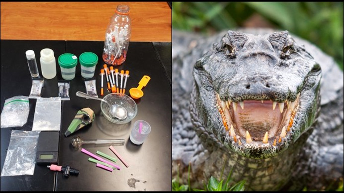 ‘Meth gators?’ Tennessee police warn against flushing drugs down toilet ...