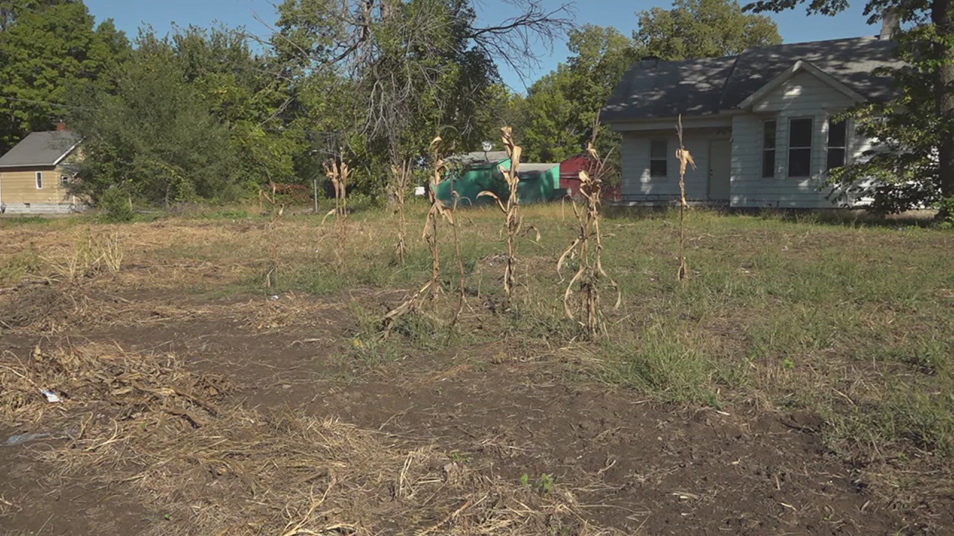 Rock Island introduces amended urban gardening ordinance | wqad.com