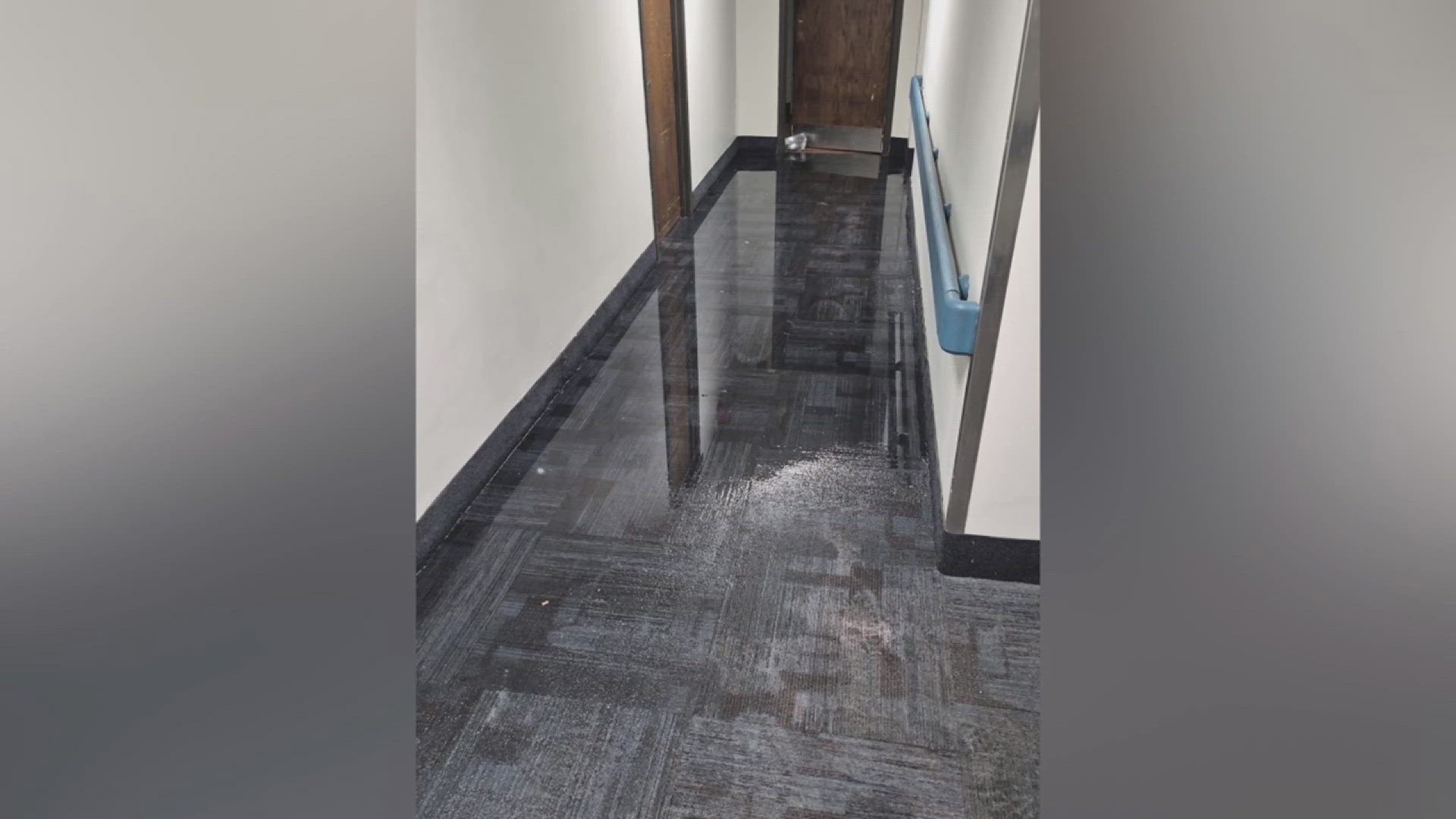 In-N-Out Burger drops order number 67 from its system after viral meme ...