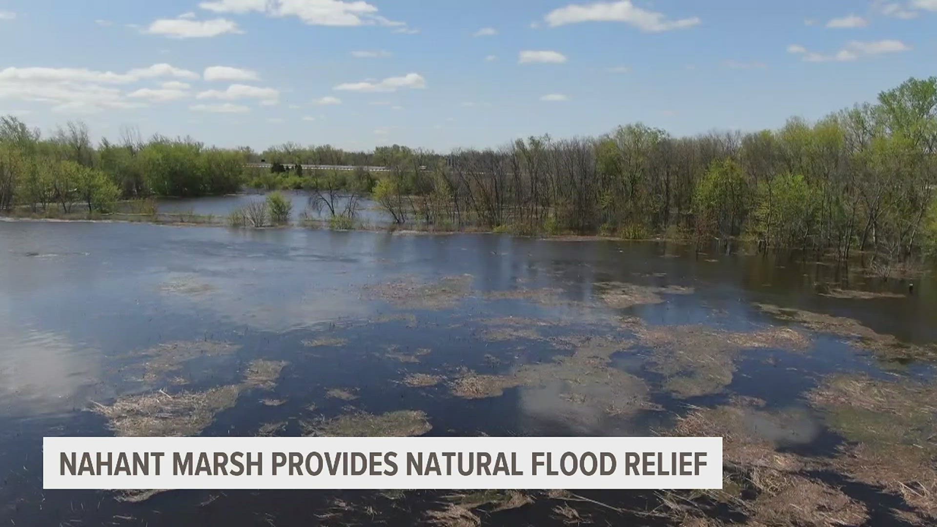 Nahant Marsh could provide natural relief to Mississippi River flooding | wqad.com