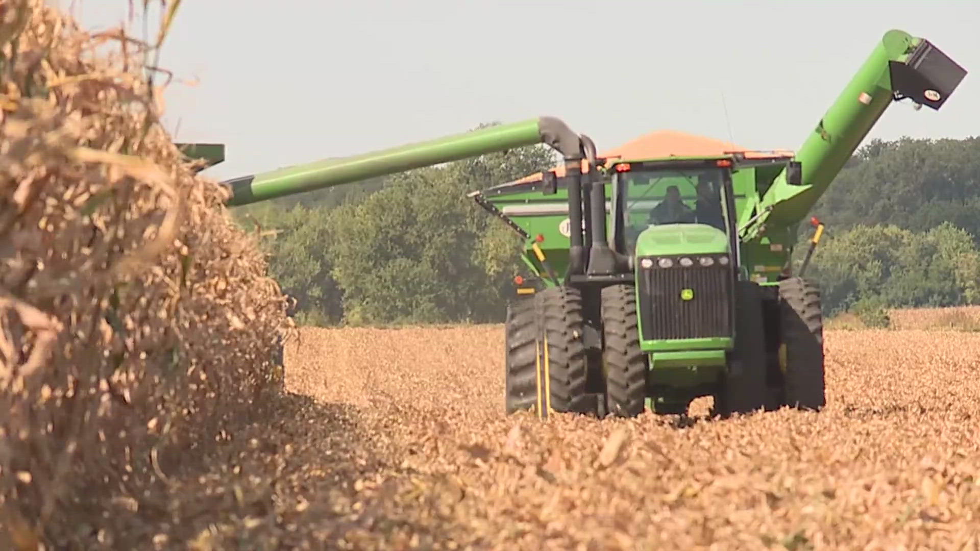 President Trump's tariffs could impact corn, soybean trade | wqad.com