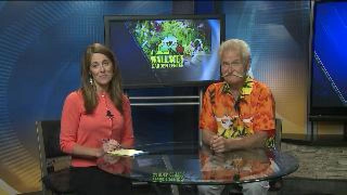 Plant and Garden Expert Craig Hignight | wqad.com