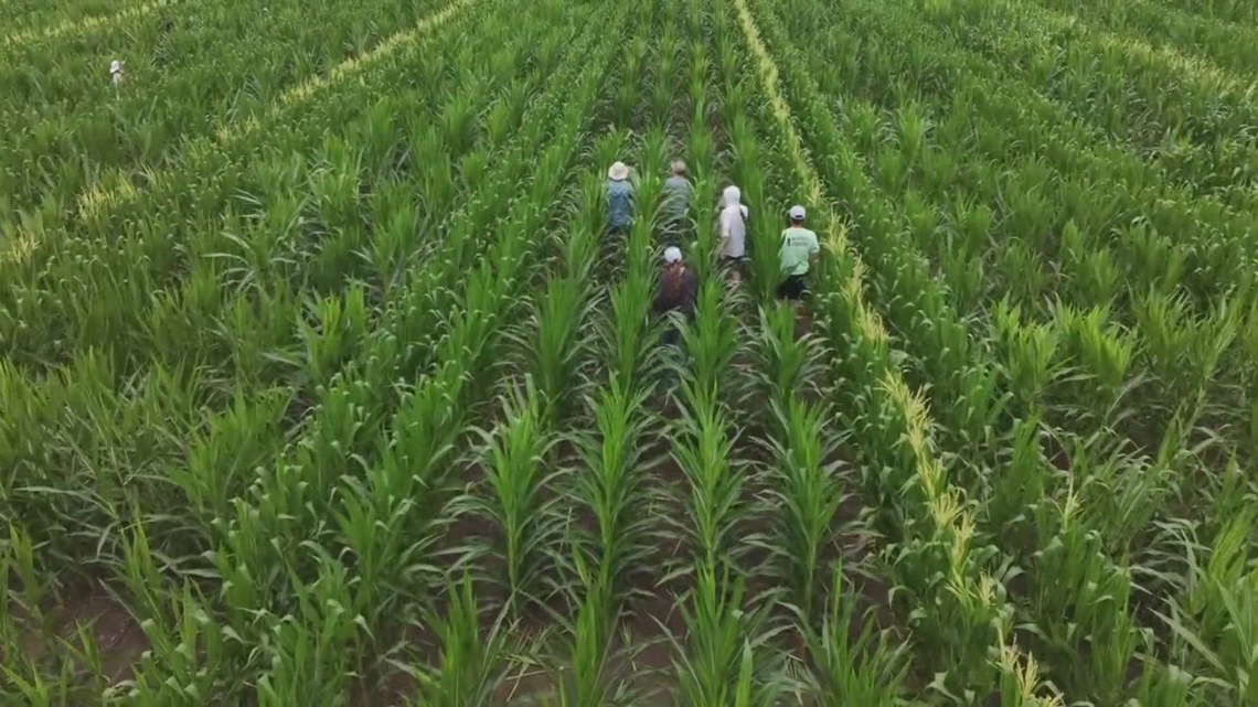 2025 Year in Review | Capturing how the Quad Cities have grown | wqad.com