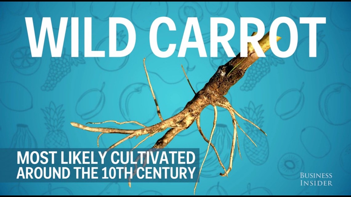 Video shows evolution of food, fruits and vegetables before being ...