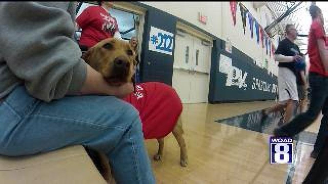 Local school plays Dodgeball for a dog | wqad.com