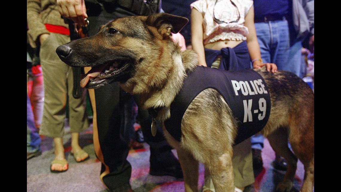 K9 units are falling victim to same drug that killed Prince | wqad.com