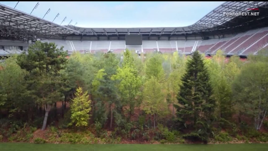 Forest grows in the middle of an Austrian football stadium | wqad.com