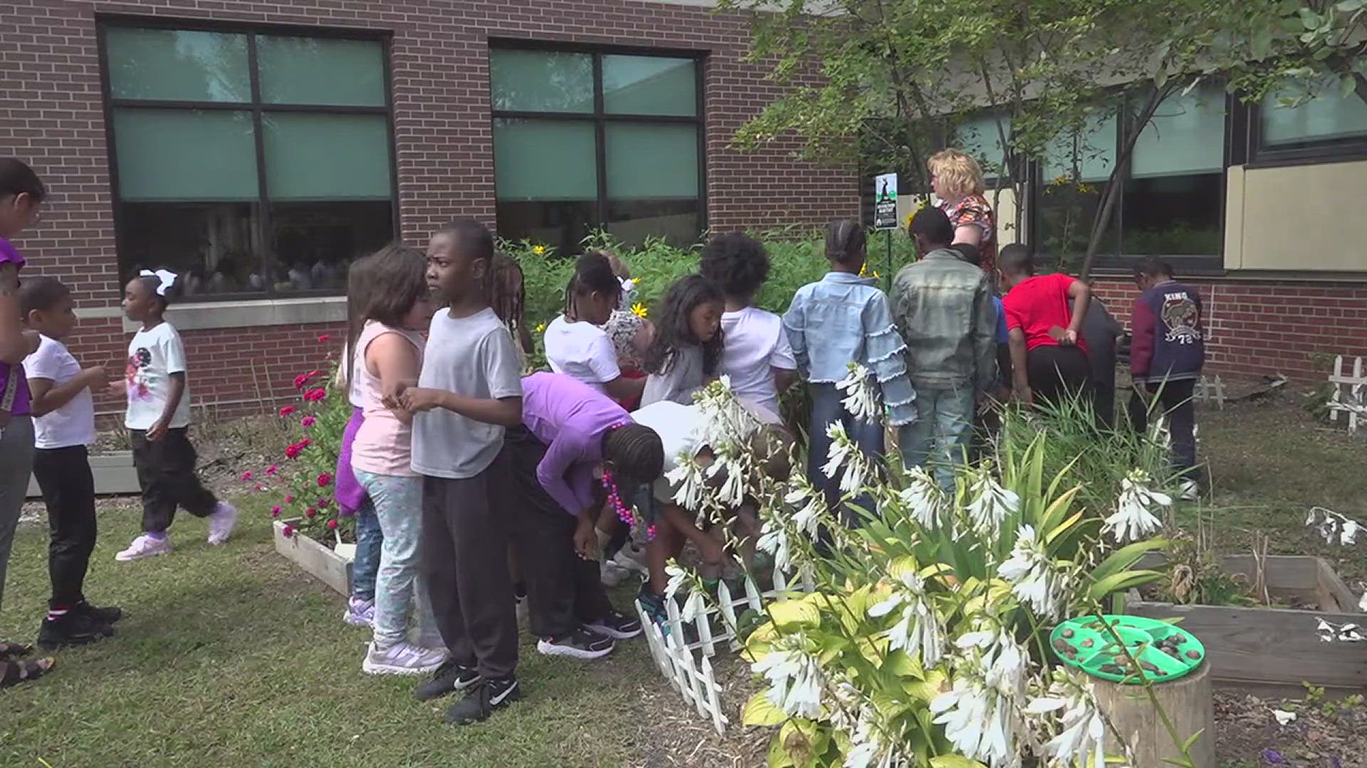 Fillmore Elementary butterfly garden brings nature to the classroom for ...