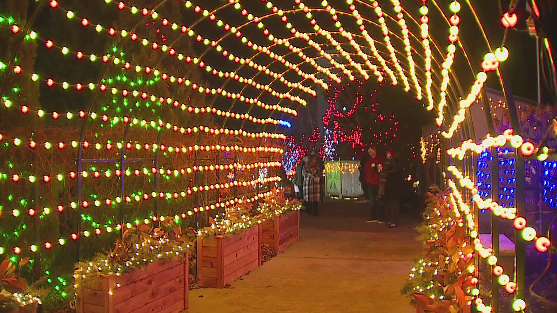 Weekend Rundown with WLLR | Dec. 26, 2024 | wqad.com