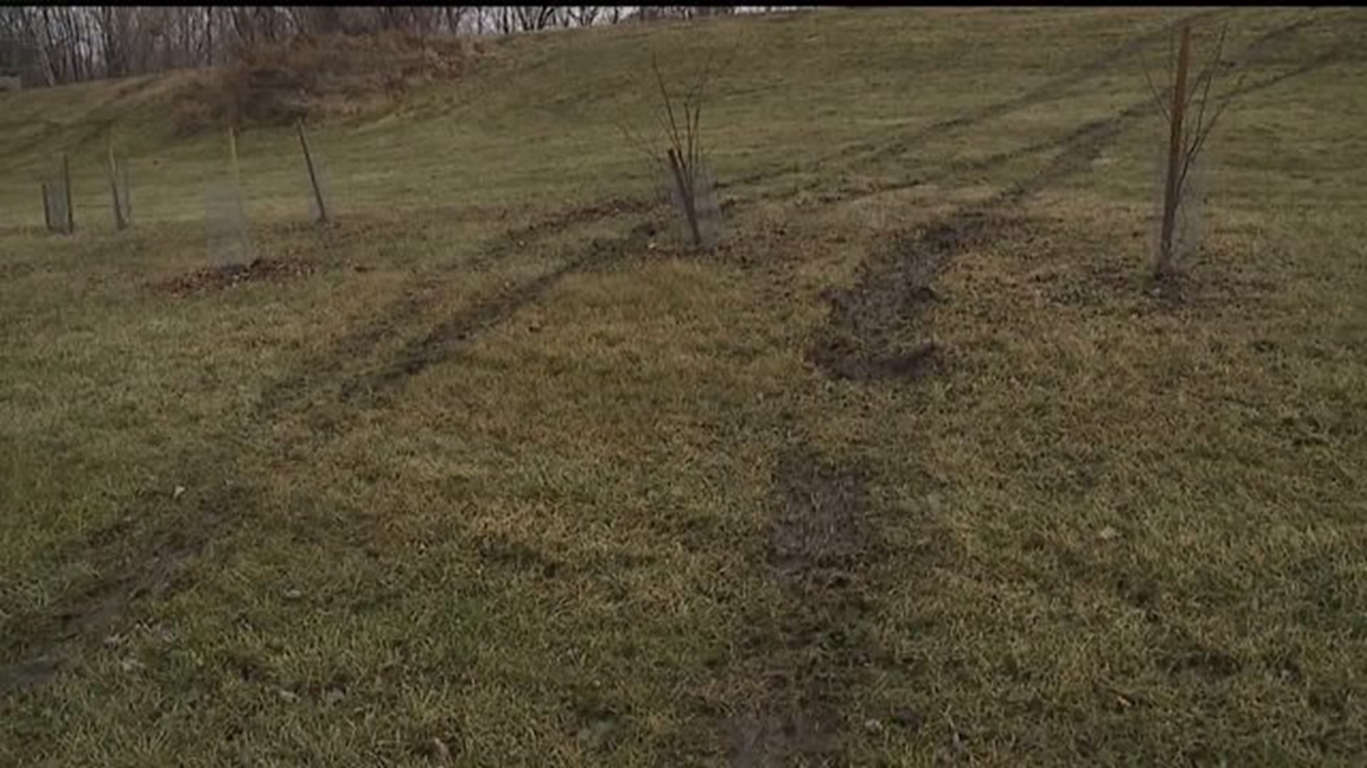 Vandals destroy trees, plants in Davenport community orchard | wqad.com