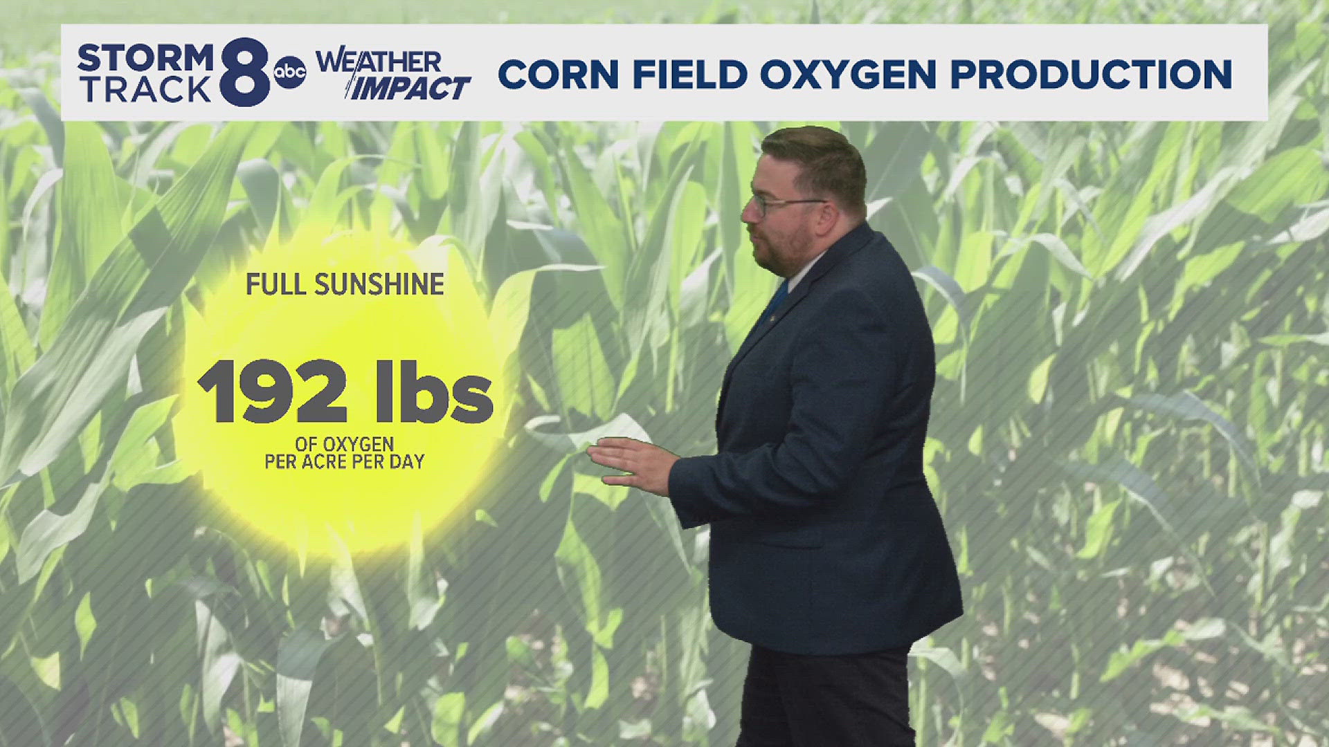 Cornfields produce oxygen: Sunny vs cloudy days | wqad.com