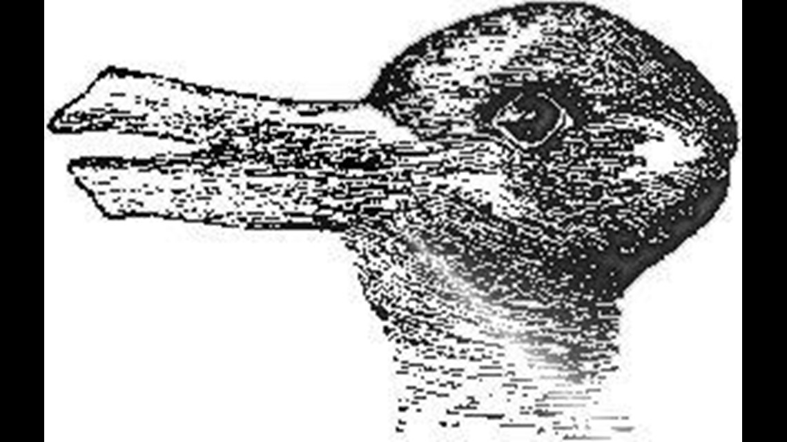 100-year-old illusion makes a comeback: Duck or Rabbit? | wqad.com