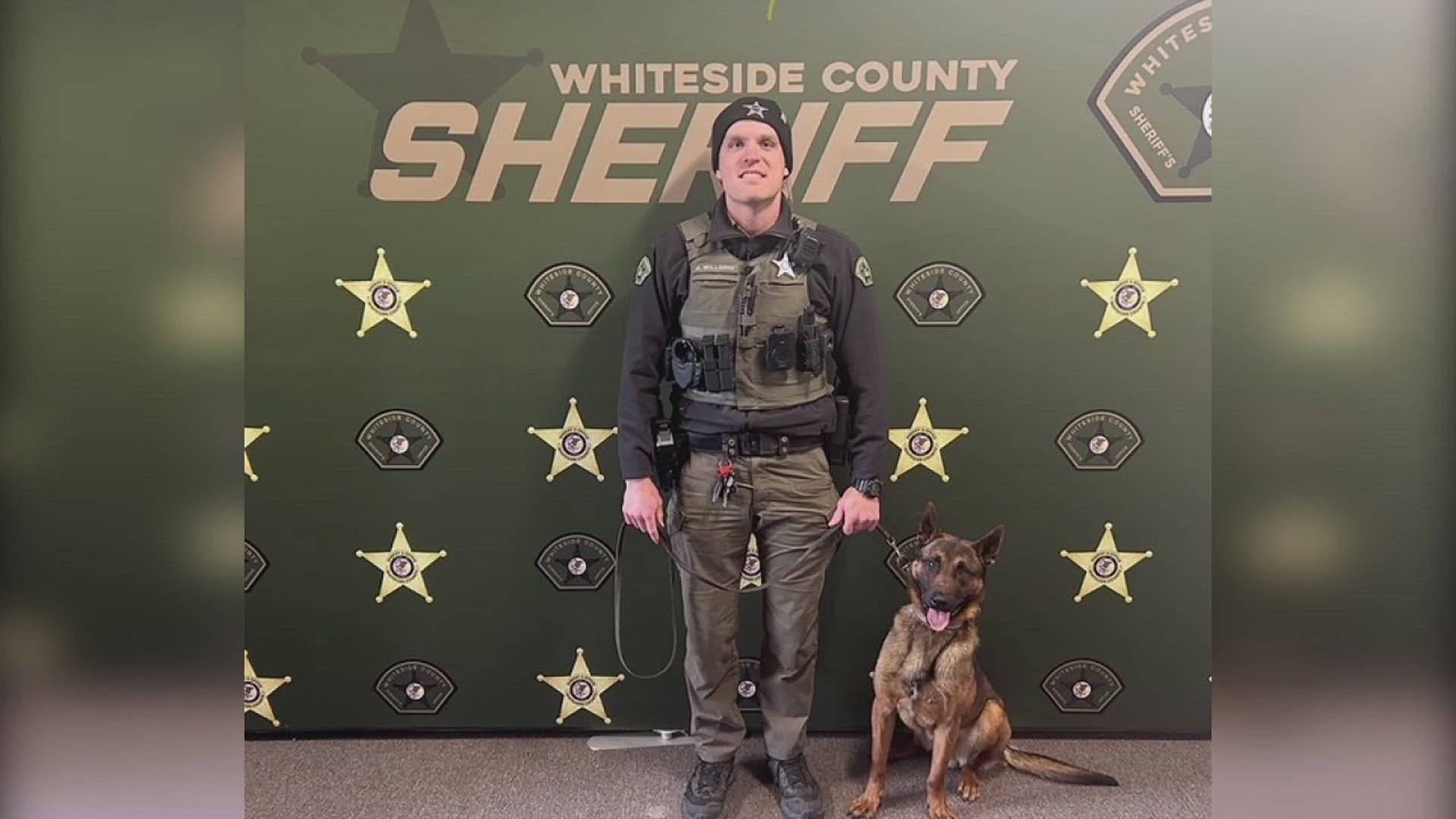 Whiteside County Sheriff's Office welcomes new K9 officer | wqad.com