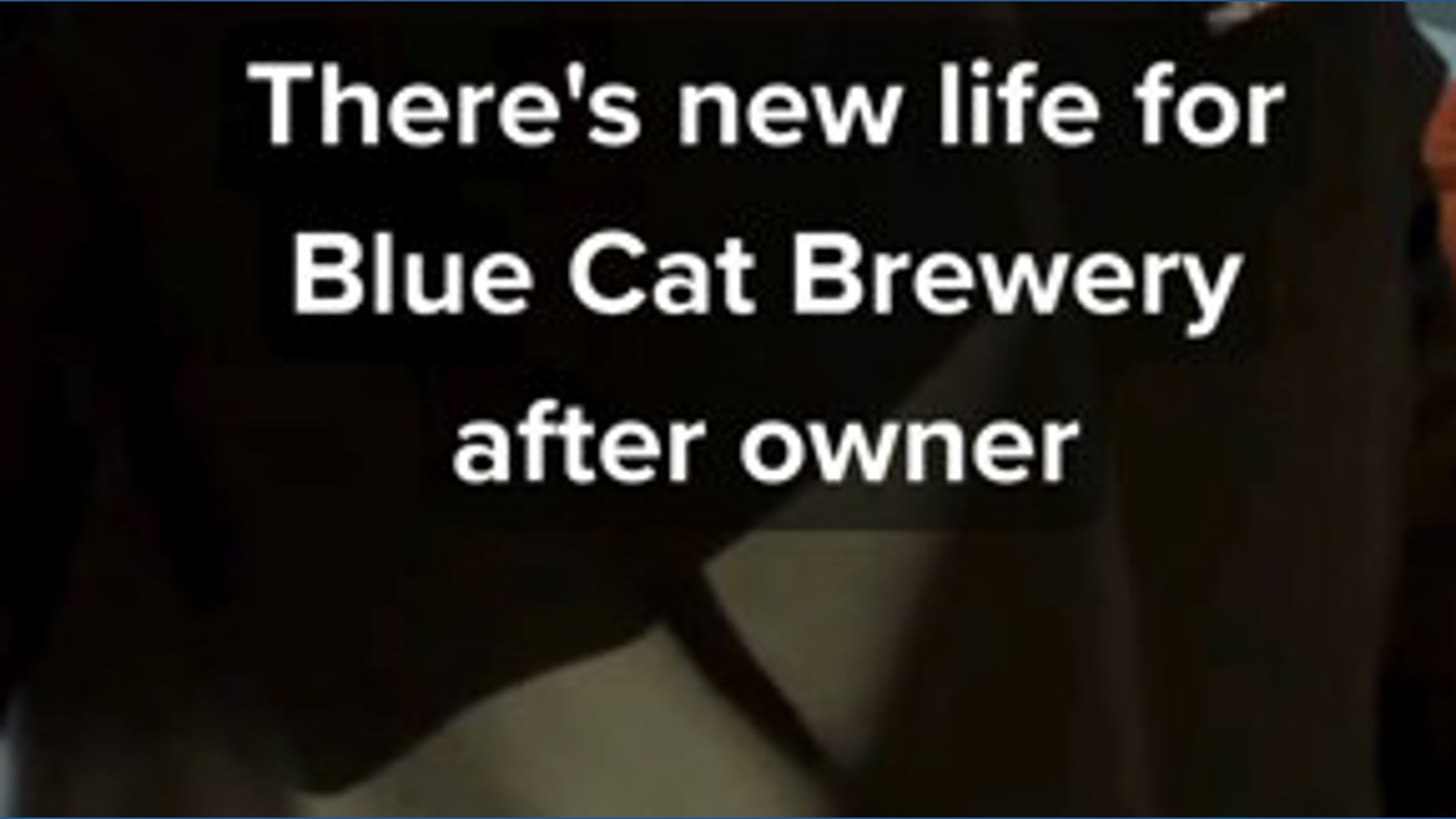 Blue Cat Brewing Company bought by RIBCO owner | wqad.com