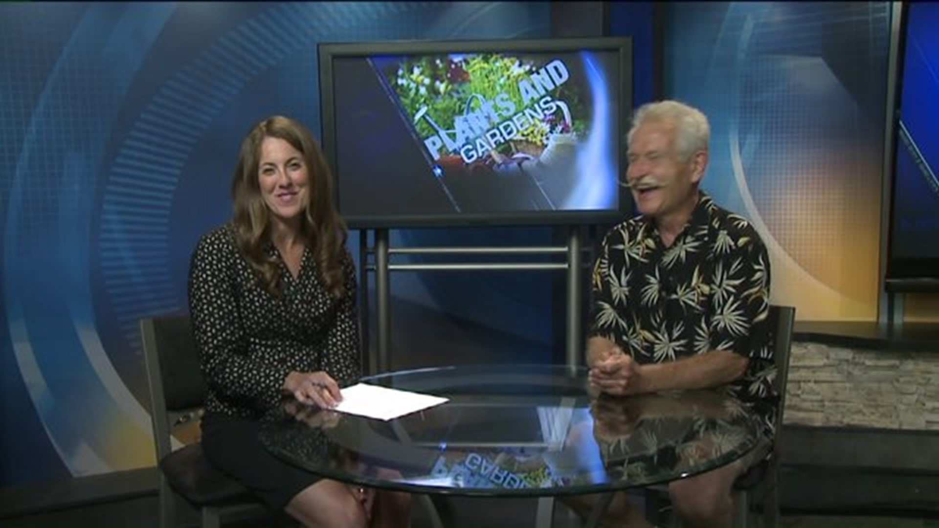Eliminating Mushrooms and Transplanting Hydrangeas and Hostas | wqad.com