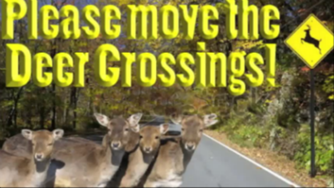Video: Deer crossings misunderstood | wqad.com