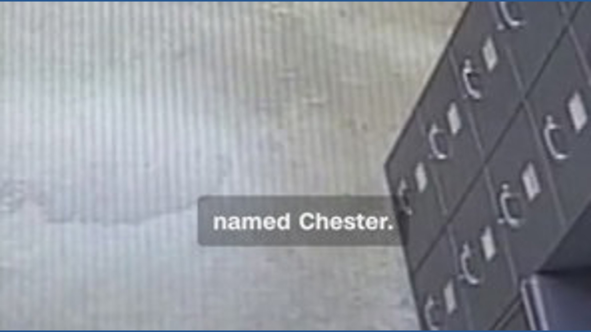 Monkey wreaks havoc on pawn shop | wqad.com