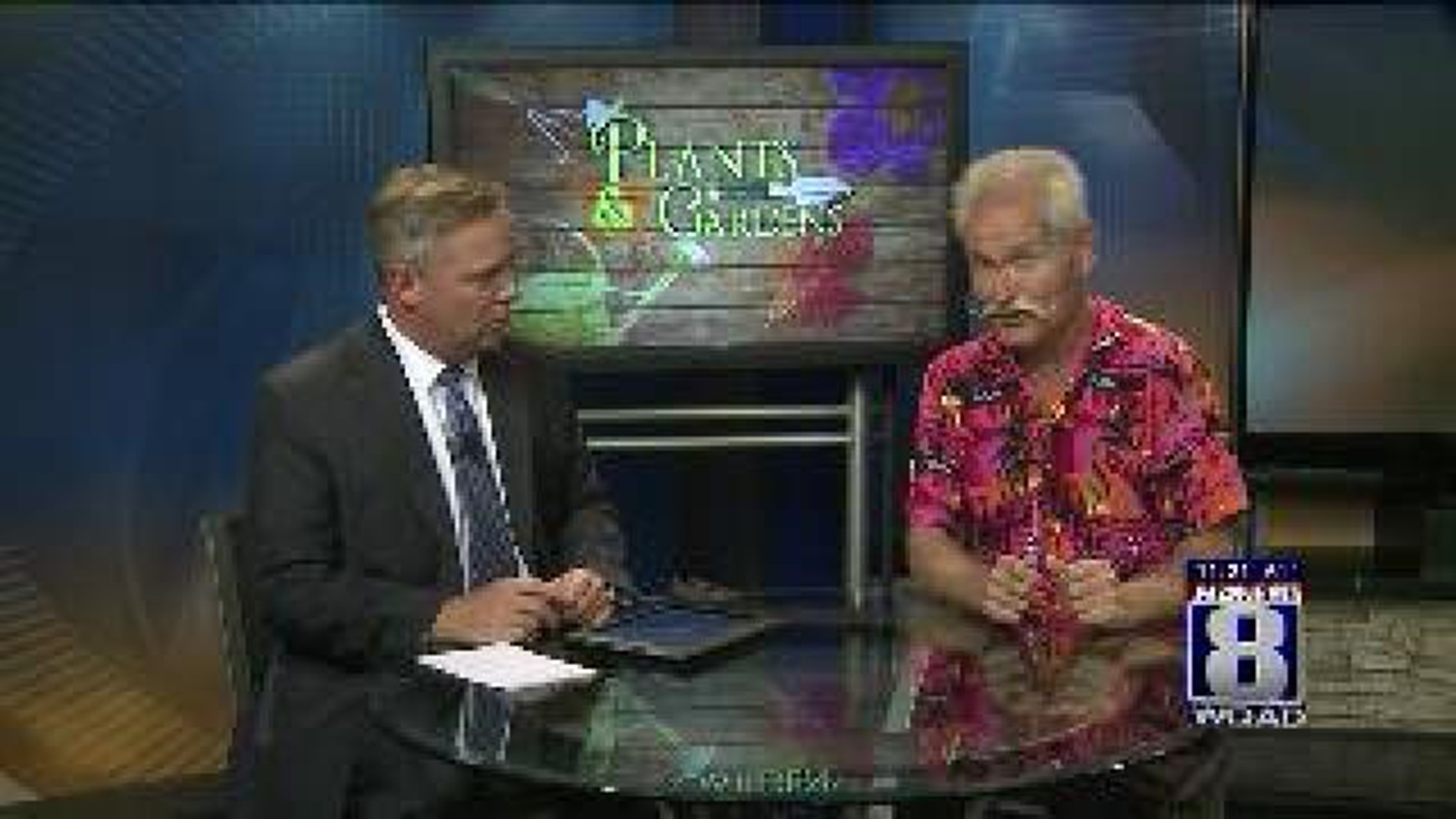 Craig Hignight Talks About Butterfly Bushes, Potting Soil, and Green ...