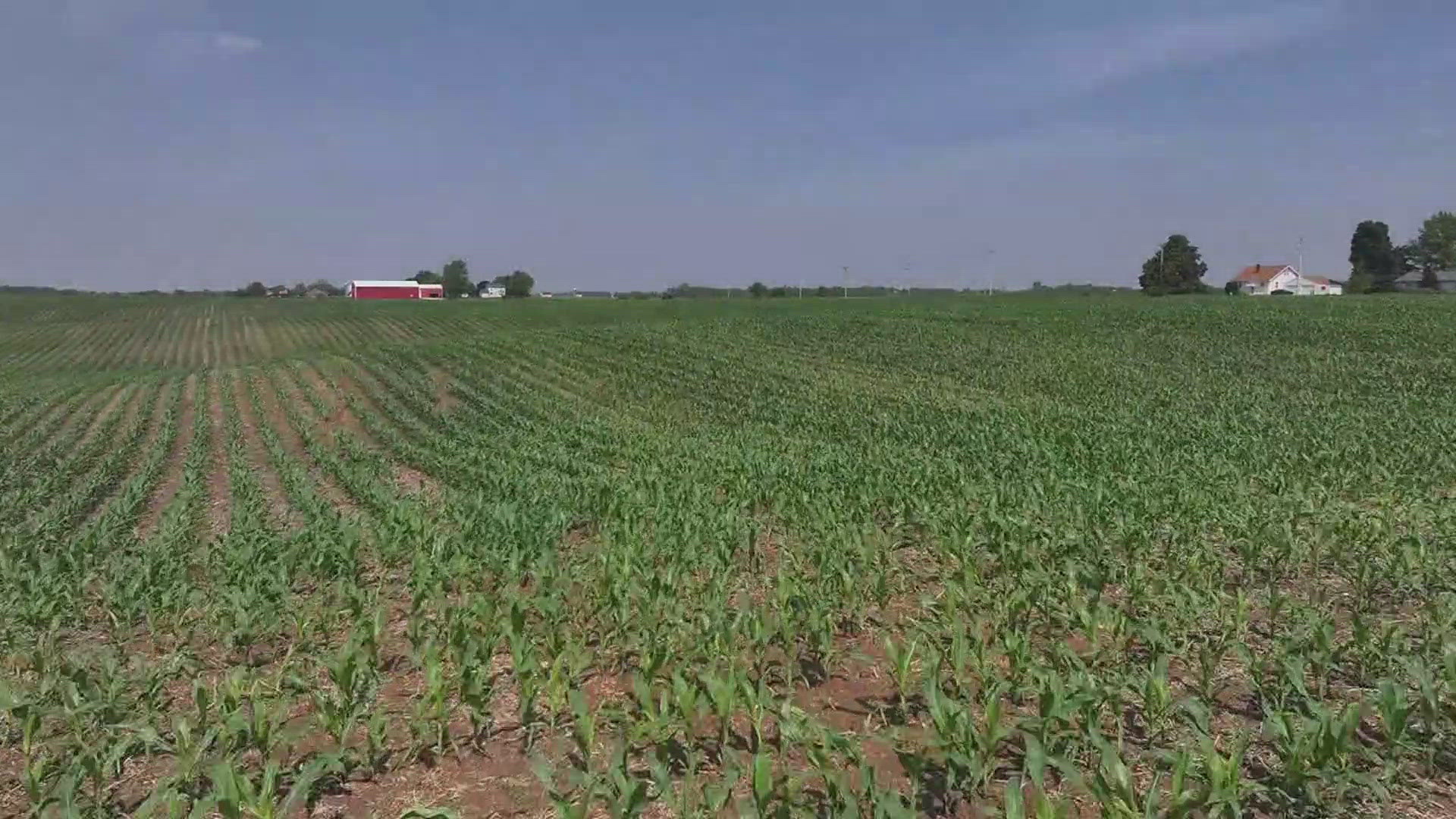 Planting season coming to a close: Next few weeks of weather could ...