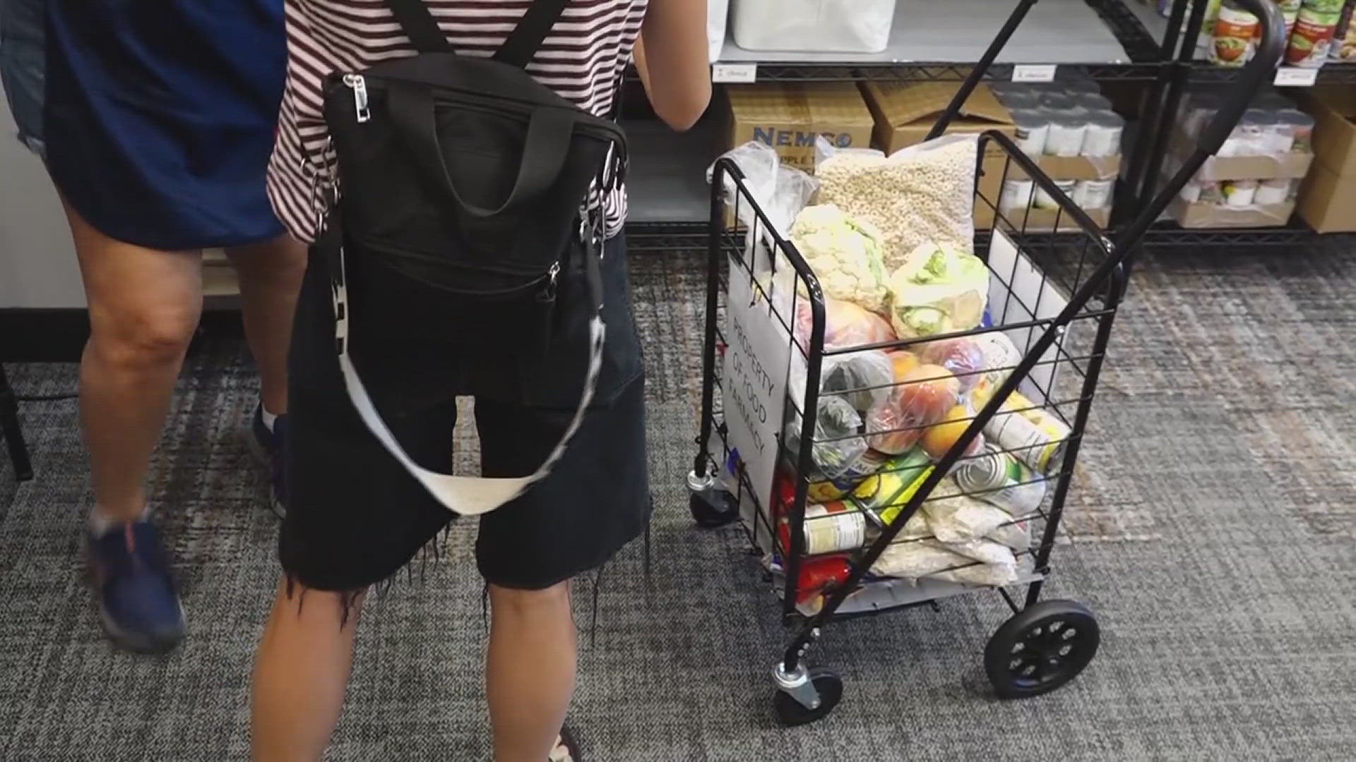 SNAP work requirements take effect: What families need to know | wqad.com