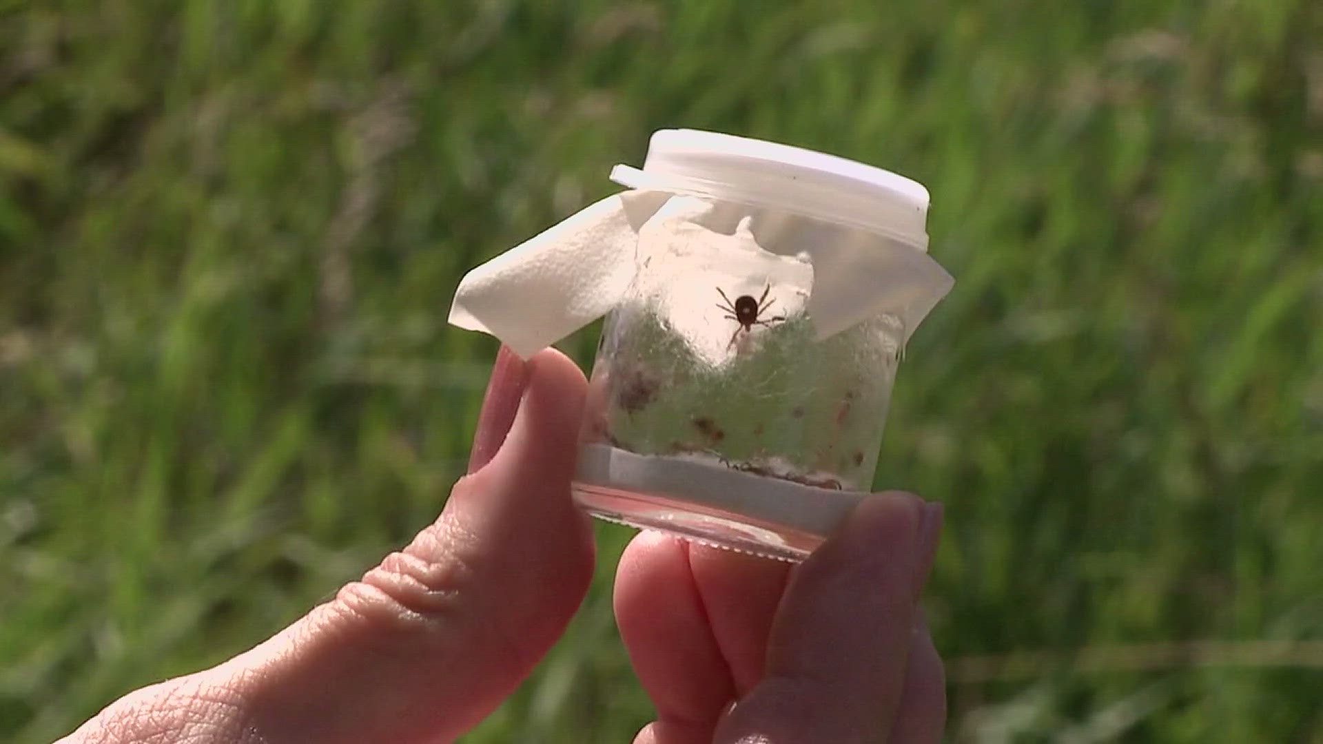 Tick season has arrived. Here's what you need to know to keep yourself ...