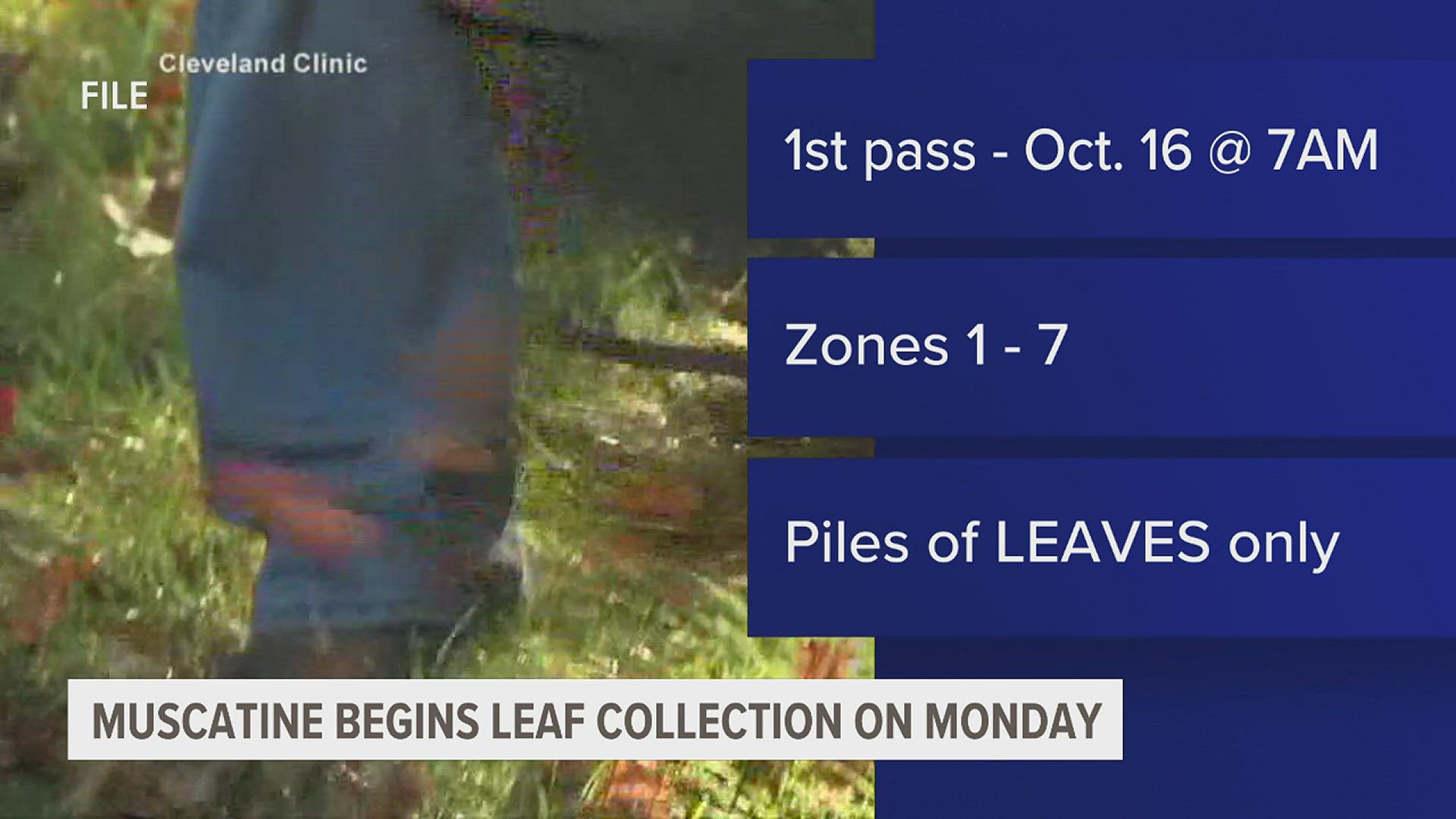 Muscatine to begin fall leaf collection | wqad.com