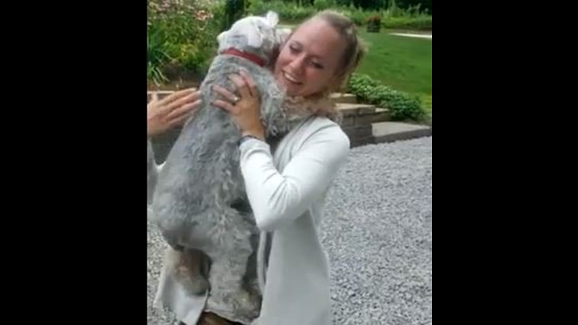 Viral Video: Overly-excited dog passes out | wqad.com