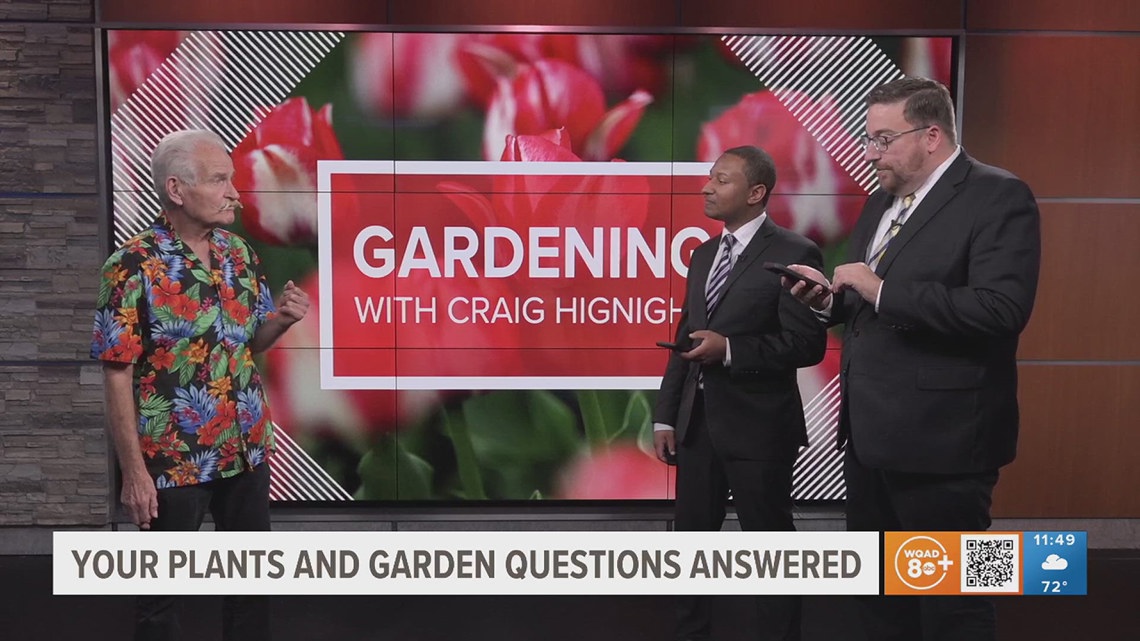 Plants and Gardens with Craig Hignight - Part 2 | Aug. 27, 2025 | wqad.com