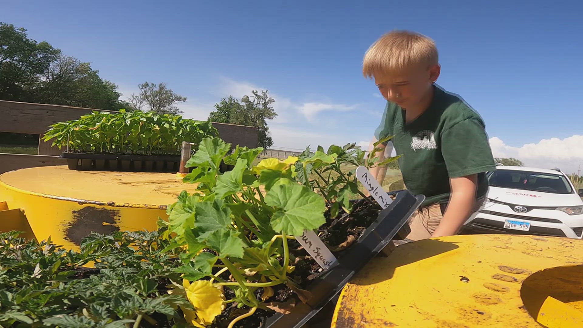 Muscatine family plants memories and grows melons | wqad.com