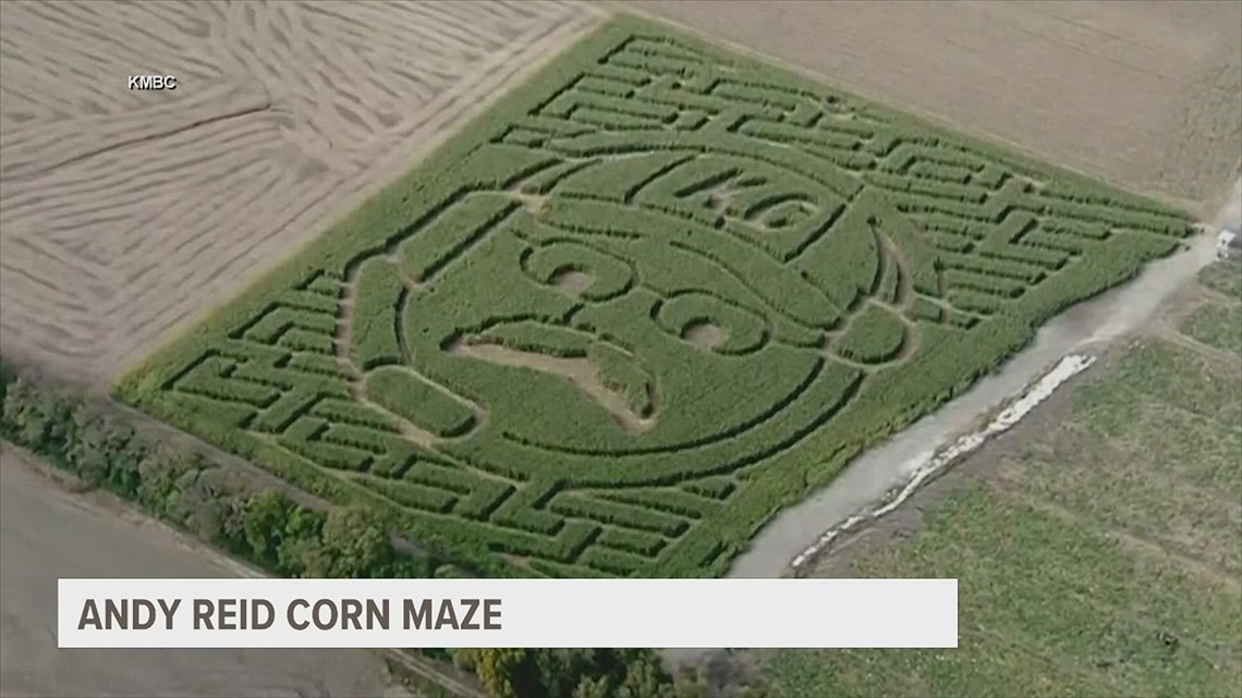 A corn maze in Missouri is shaped like Kansas City Chiefs coach Andy ...